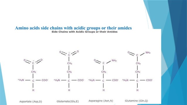 ppt-BIOCHEMISTRY-Amino-Acid this a detailed knowledge on amino group | PPTX