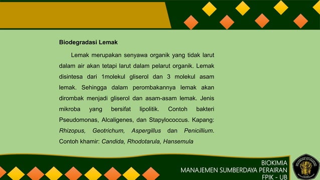 Biokimia Degradasi Material dan Transformasi Kimia Dari Material ...