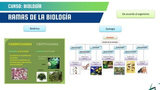 PPT - BIOLOGÍA - TEMA 01.pptx