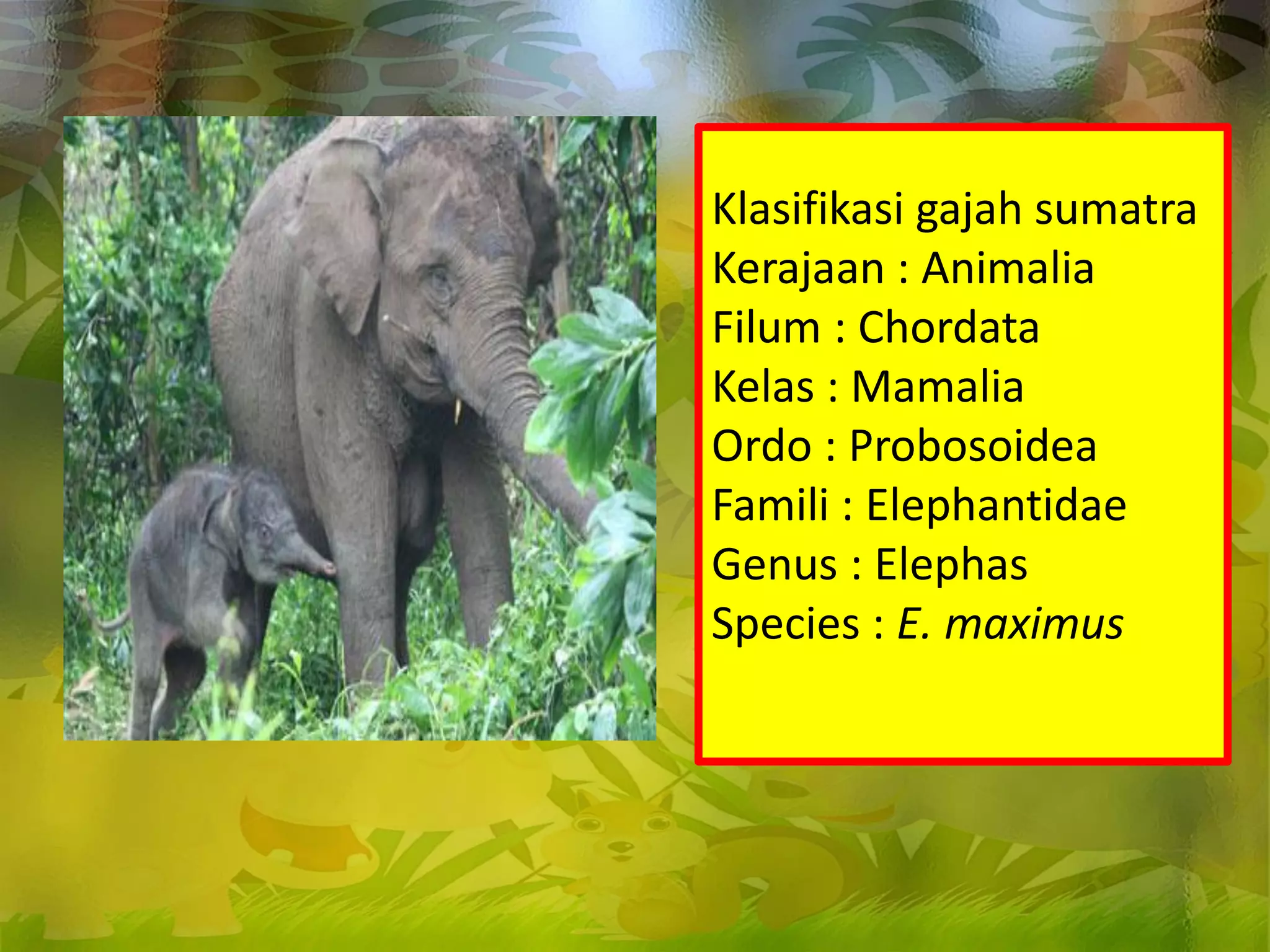 Ppt biologi mamalia | PDF