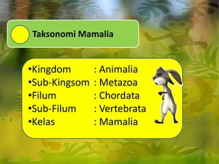 Ppt biologi mamalia | PDF