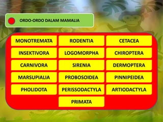 Ppt biologi mamalia | PDF