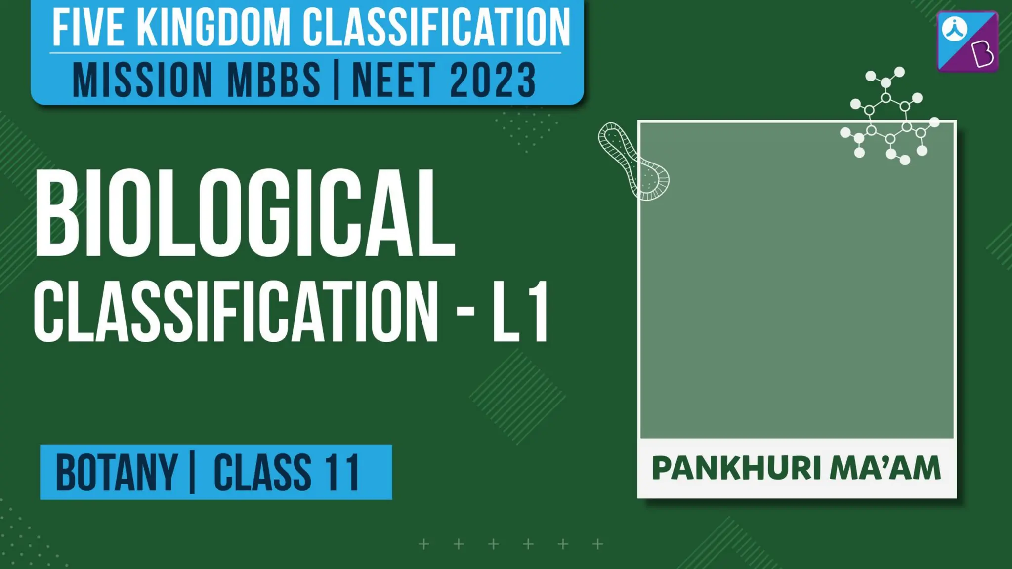 Biological classification systems etc ad biodiversity | PDF