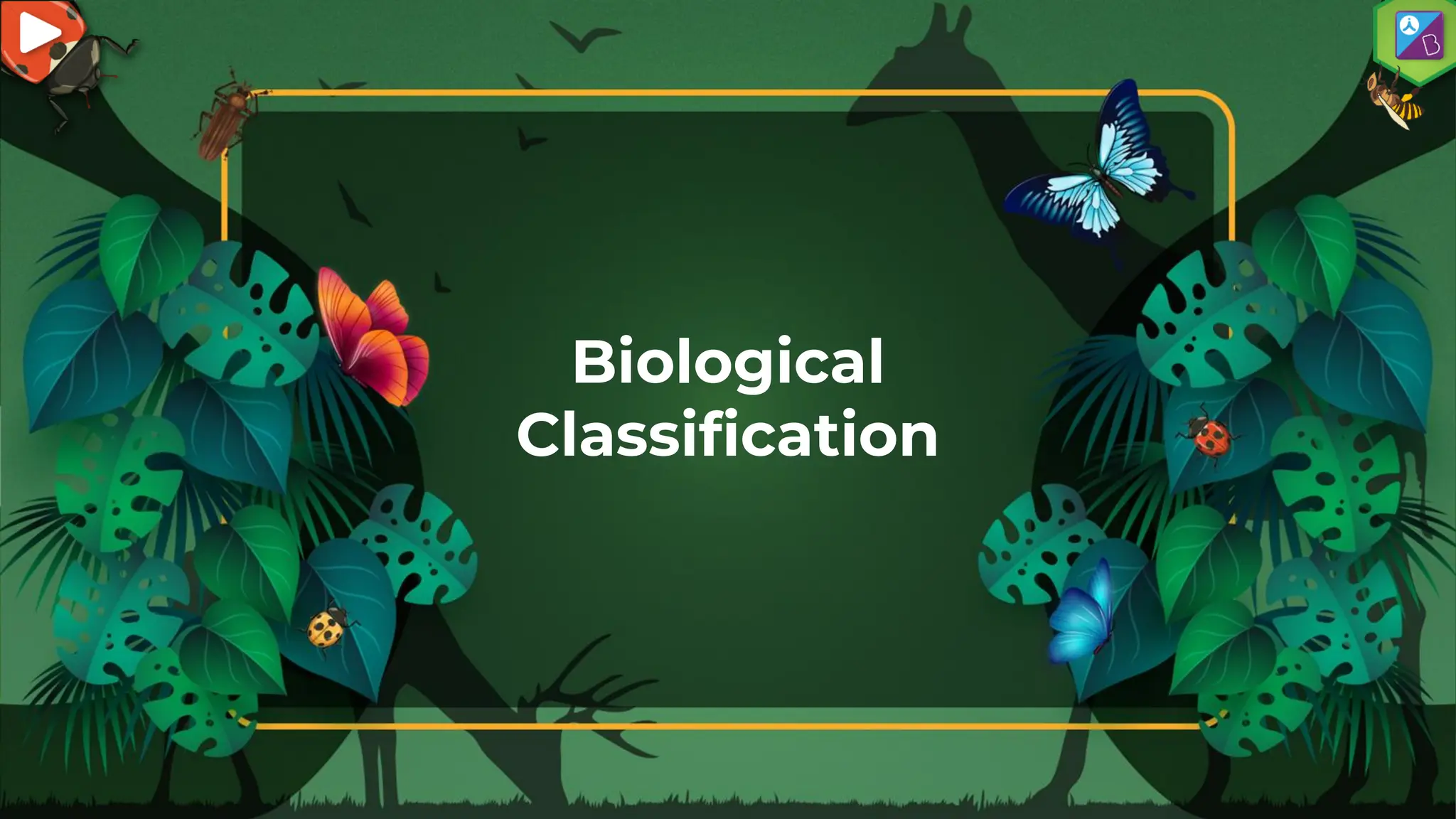 Biological classification systems etc ad biodiversity | PDF