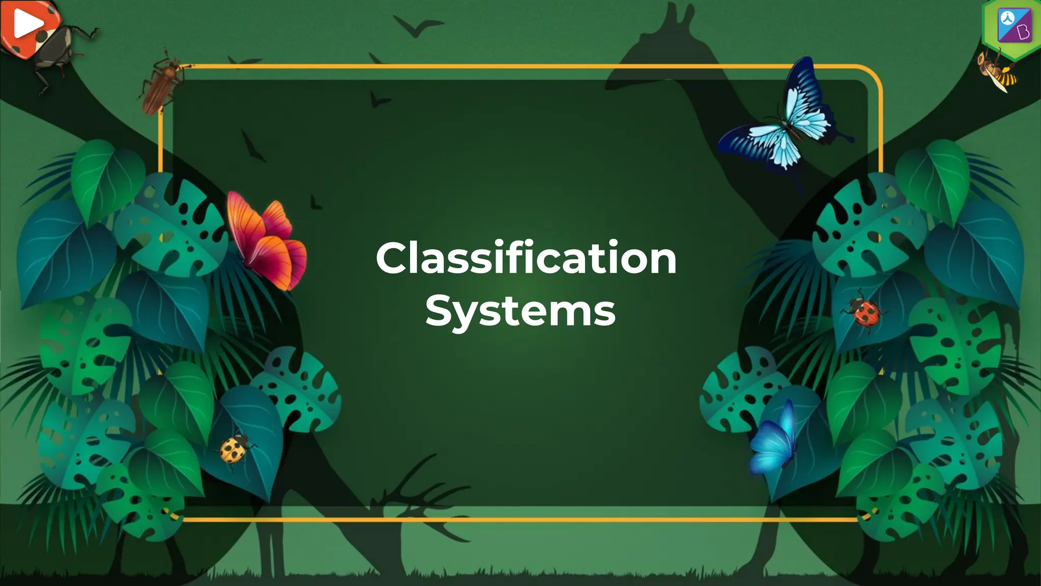 Biological classification systems etc ad biodiversity | PDF