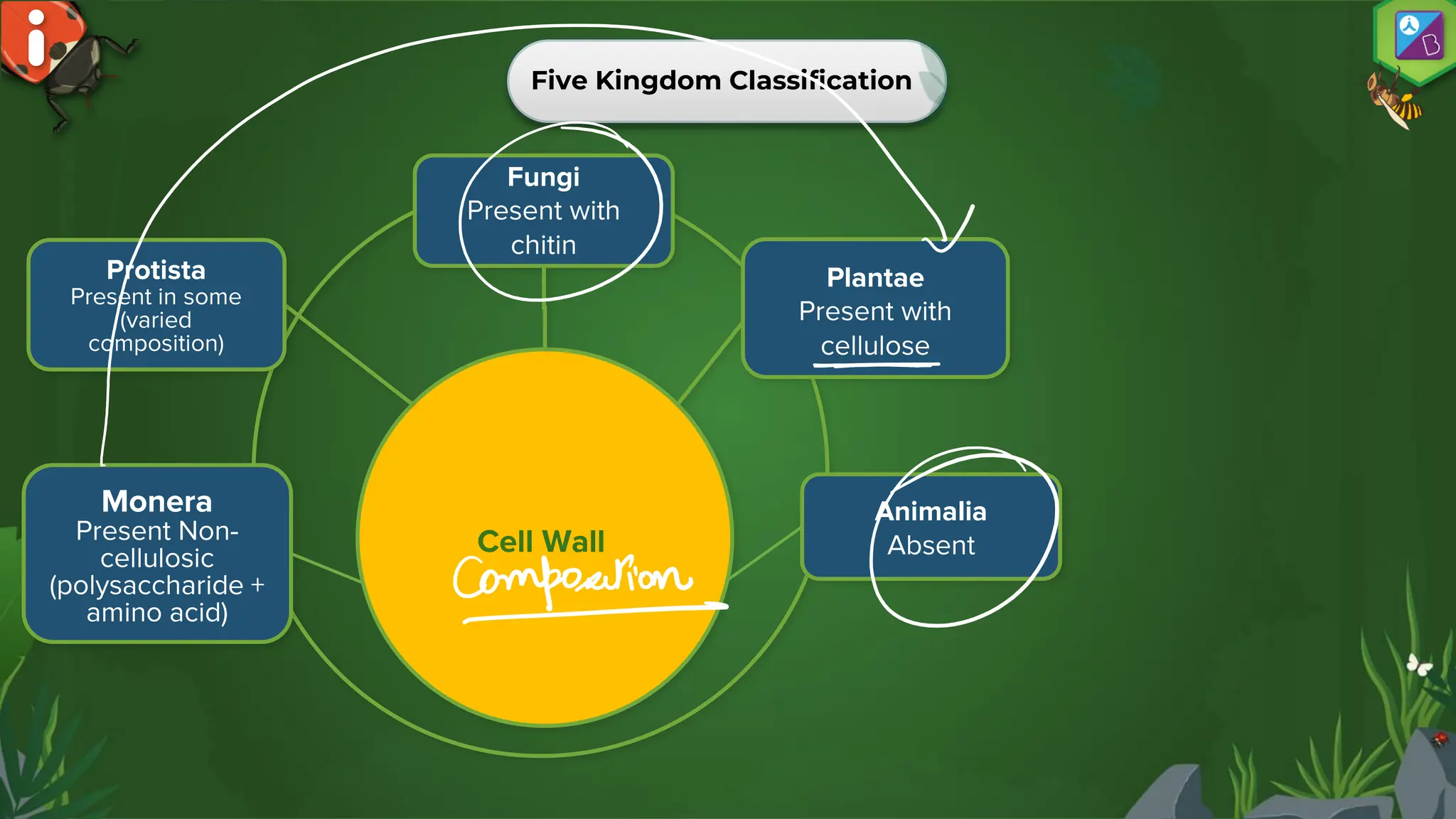 Biological classification systems etc ad biodiversity | PDF