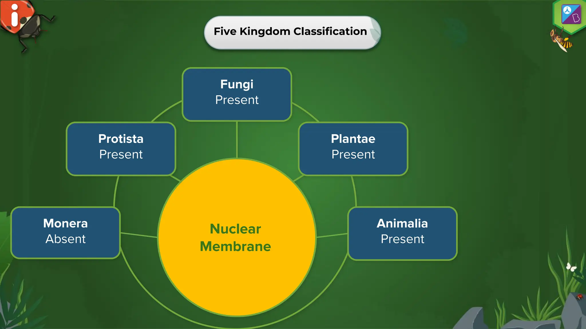 Biological classification systems etc ad biodiversity | PDF