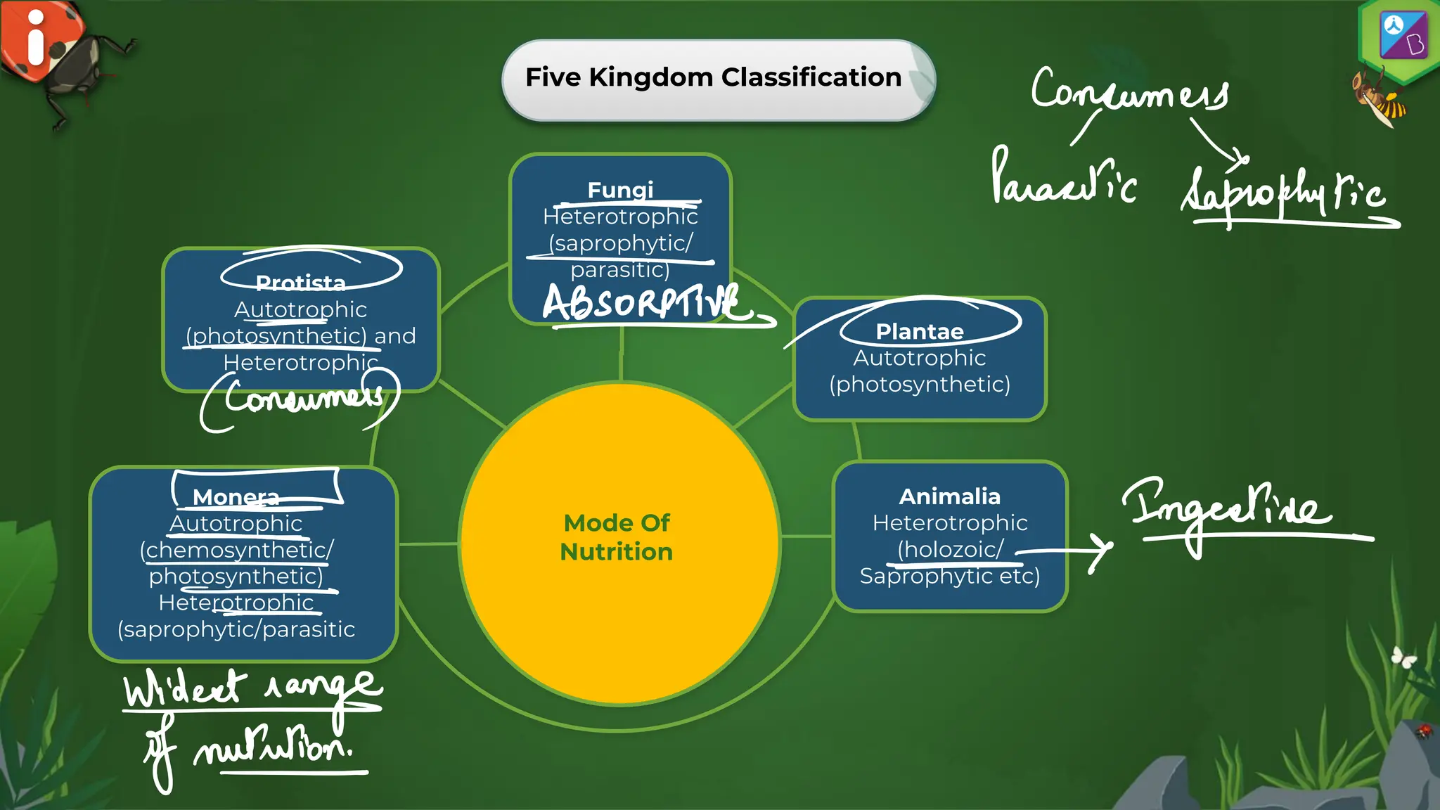 Biological classification systems etc ad biodiversity | PDF