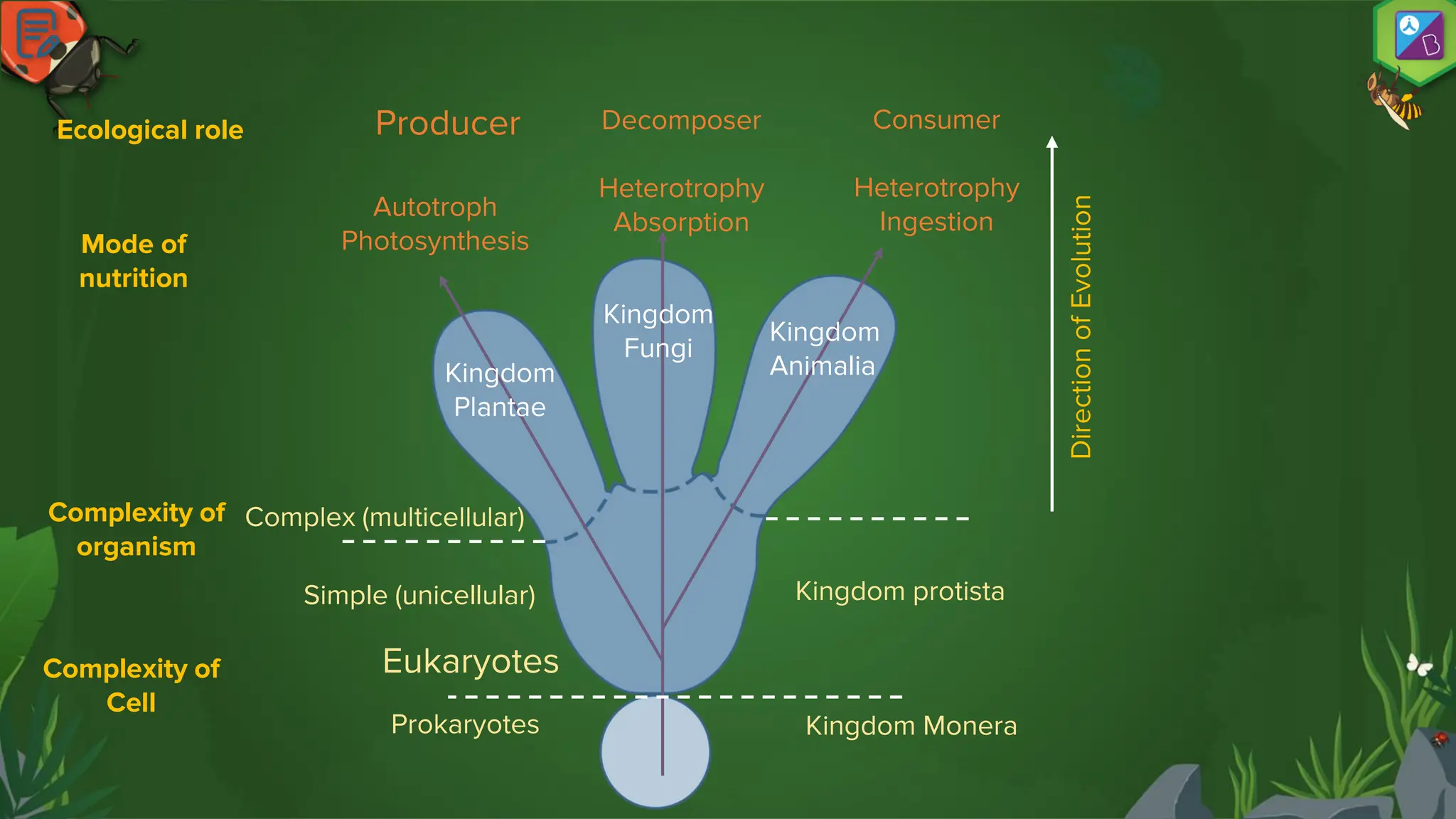 Biological classification systems etc ad biodiversity | PDF