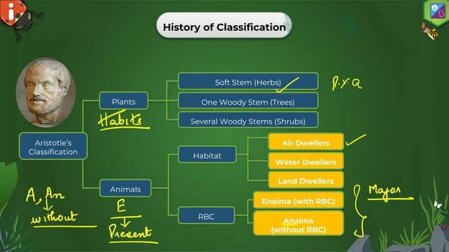 Biological classification systems etc ad biodiversity | PPT