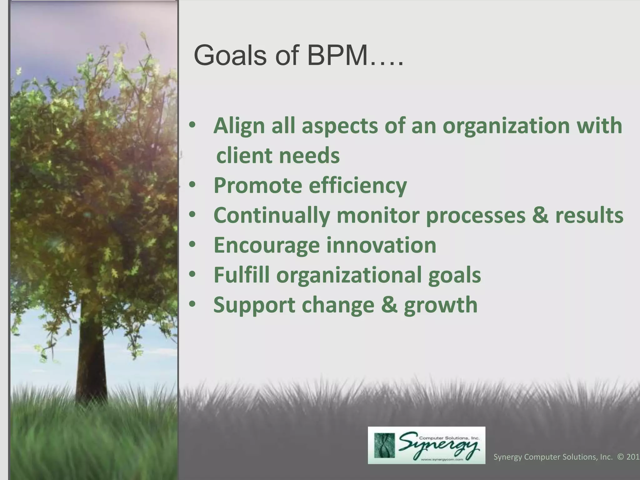 Business Process Management - Synergy Computer Solution | PPTX