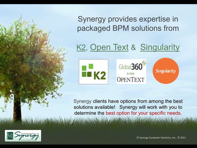 Business Process Management - Synergy Computer Solution | PPT