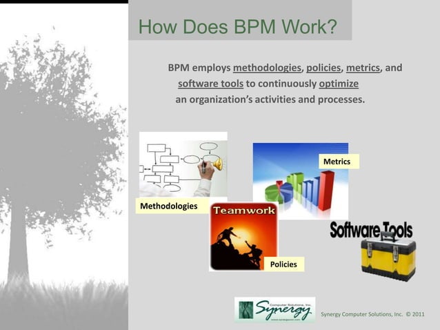 Business Process Management - Synergy Computer Solution | PPT