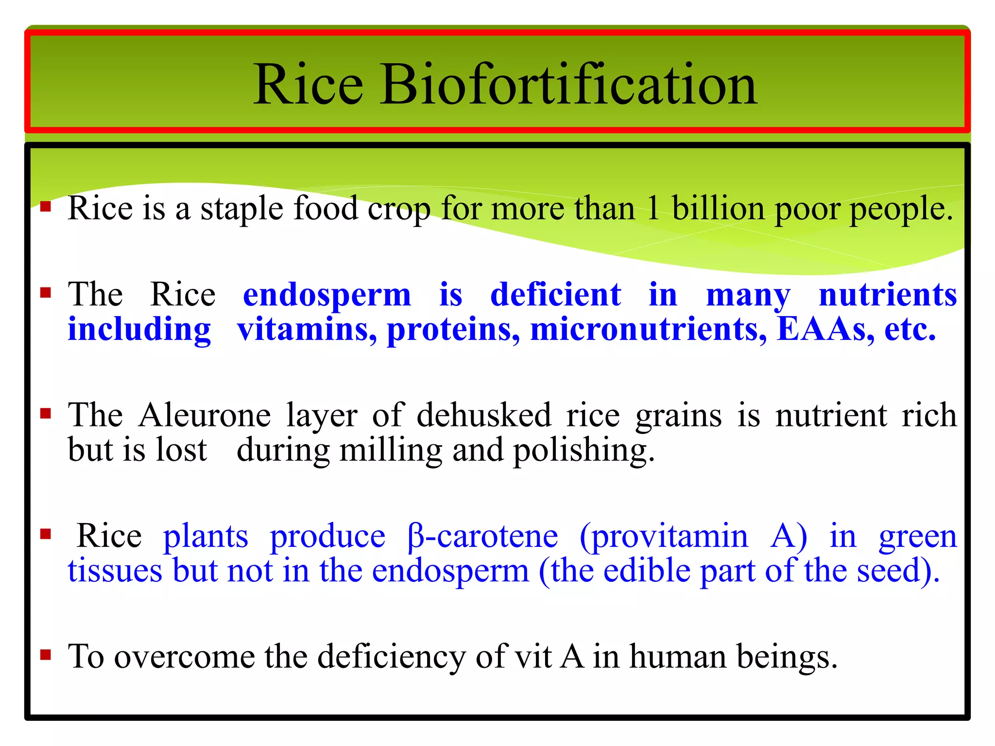 Breeding for biofortification in cereals. | PPTX