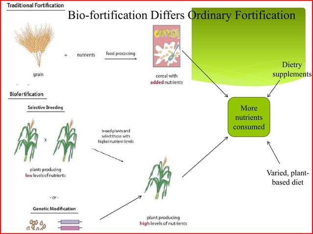 Breeding for biofortification in cereals. | PPTX | Agriculture | Industries