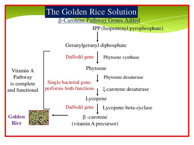 Breeding for biofortification in cereals.