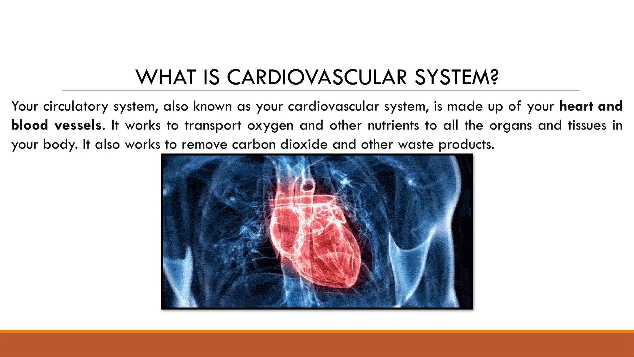 PPT-CARDIO_0106639453792962538363705.pptx