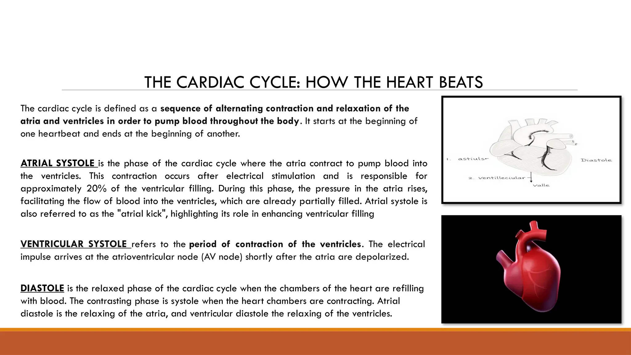 PPT-CARDIO_0106639453792962538363705.pptx