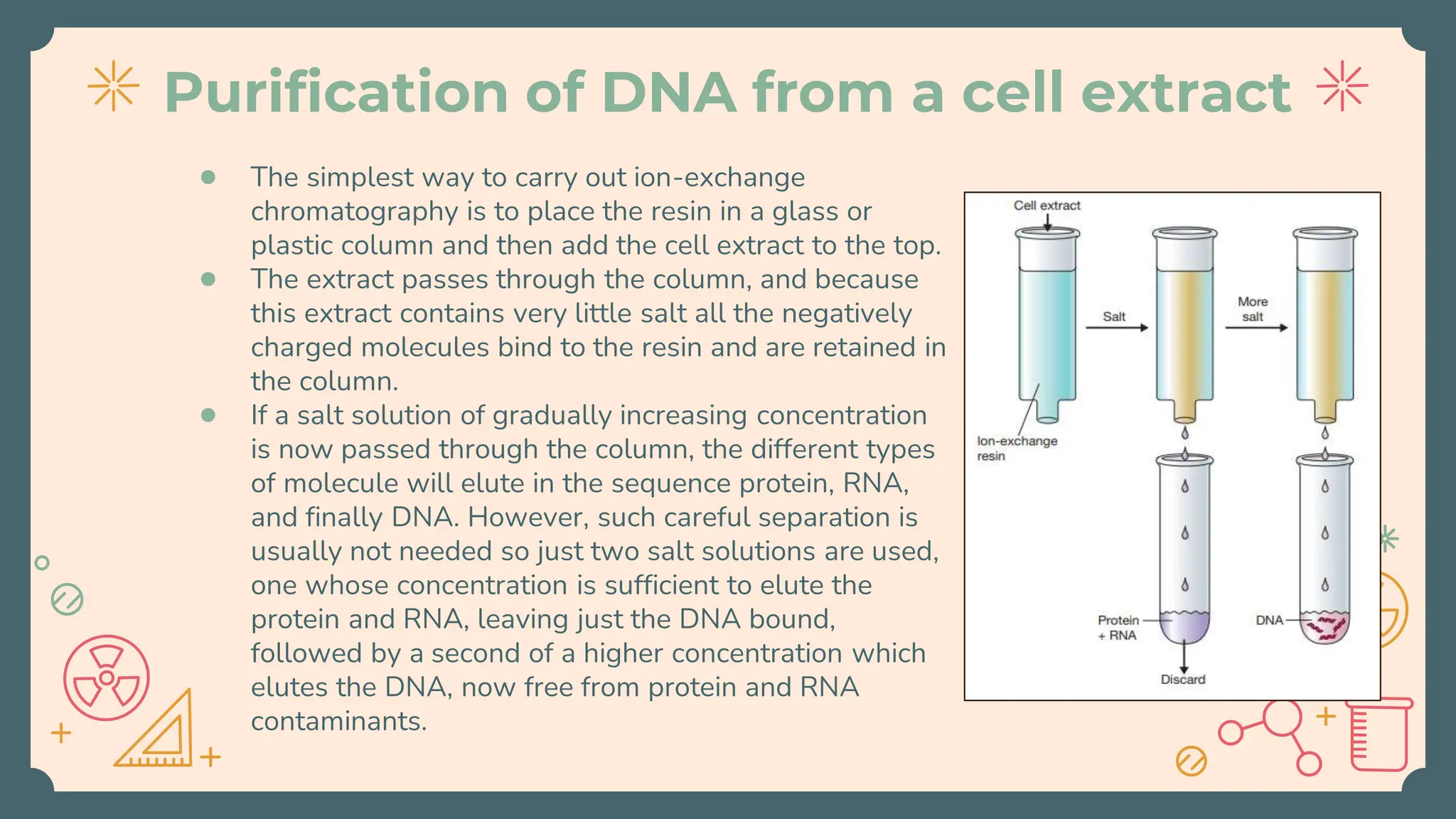 Purification of DNA from Living Cells... | PDF