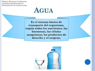 PPT-Ciencias-Quinto-BÁSICO-semana-20-Nutrientes.pdf