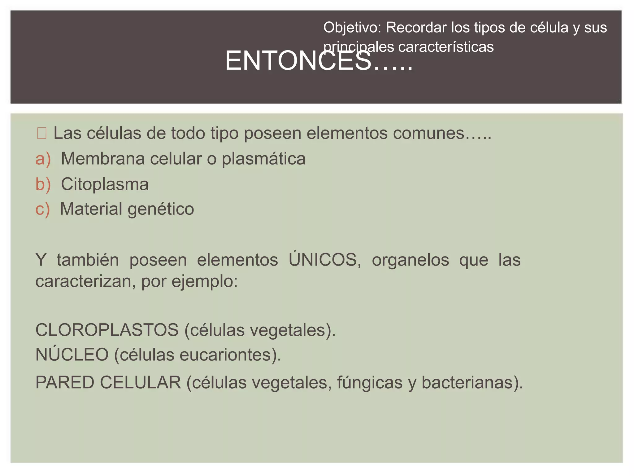 PPT-Ciencias-SEPTIMO-BÁSICO-semana-16-Tipos-de-celula (3).pptx