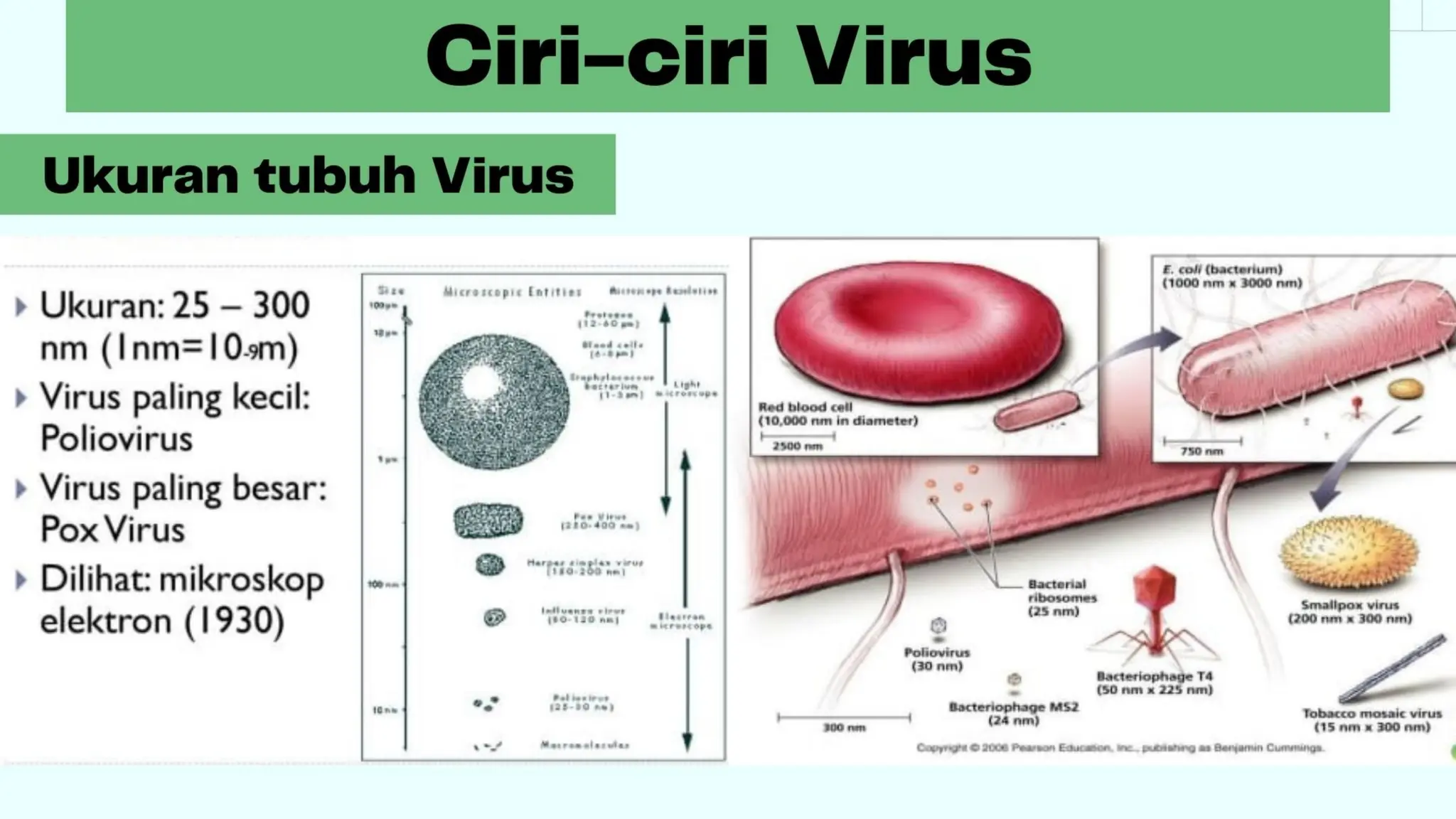 PPT - Ciri-ciri, struktur, dan bentuk Virus.pdf