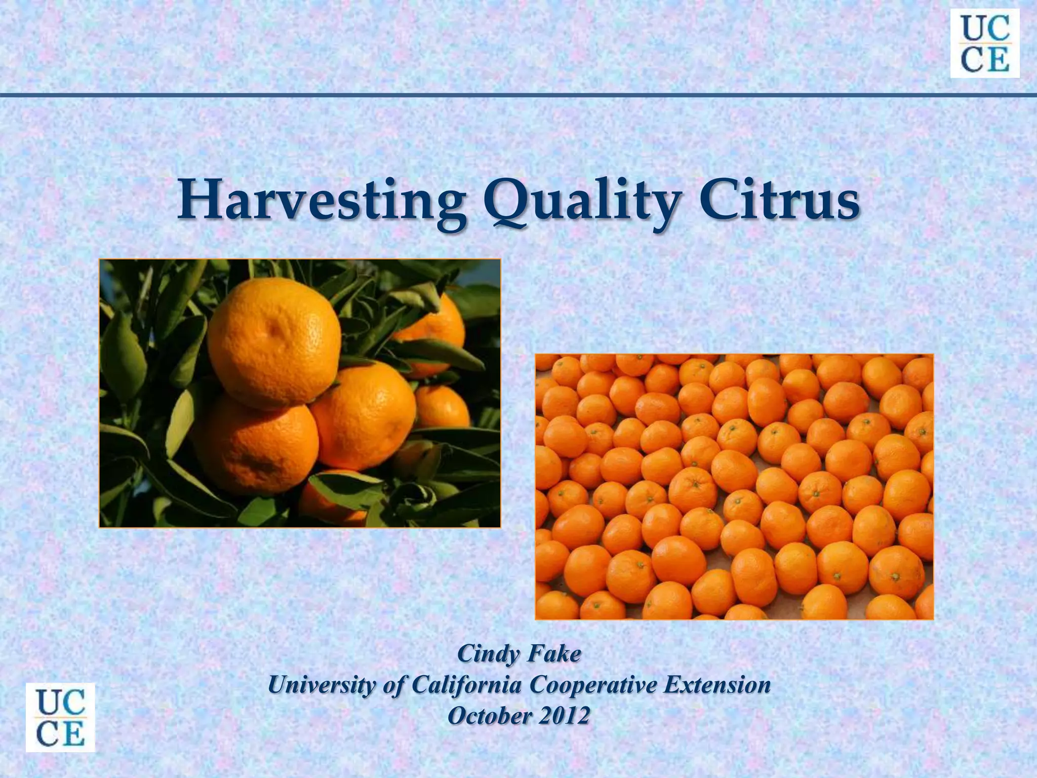 Citrus-harvest-potharvest-quality | PPT
