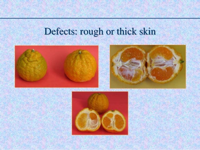 Citrus-harvest-potharvest-quality