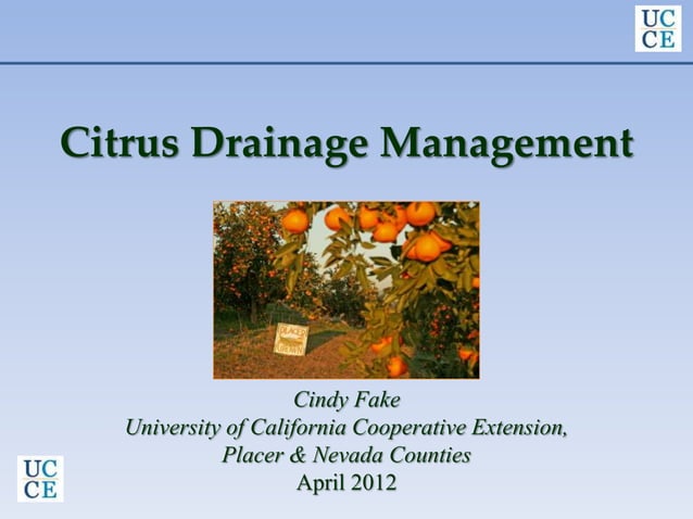 Citrus Drainage (Fake, 2012) | PPT