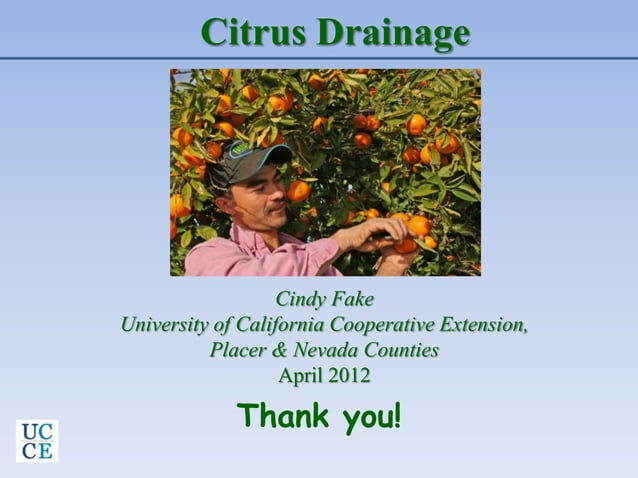 Citrus Drainage (Fake, 2012) | PPT