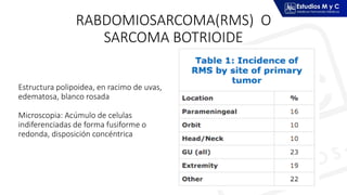 PPT-CLASE-GINECO-OBSTETRICIA-III-EstudiosMyC.pdf