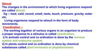 PPT-Control and co ordination CLASS X.pptx