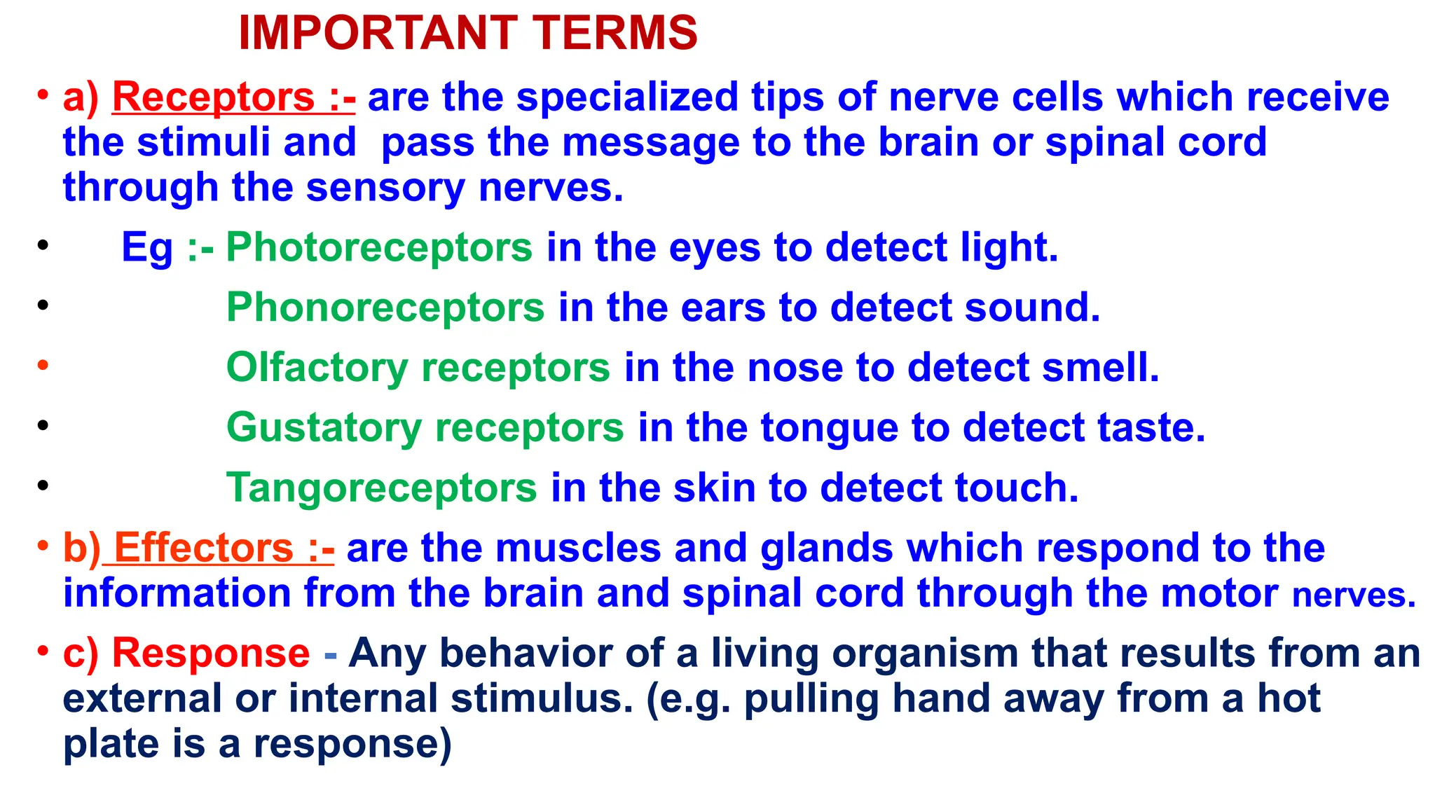 PPT-Control+and+co+ordination+CLASS+X.pptx