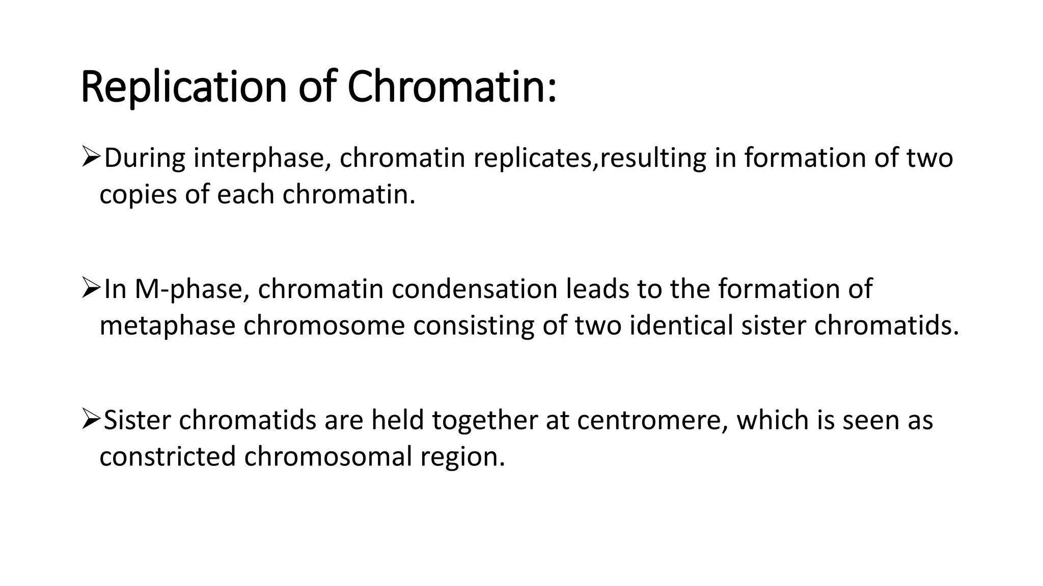 Chromatin Structure and Function | PPTX