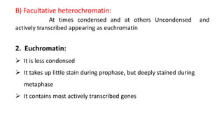 Chromatin Structure and Function | PPTX