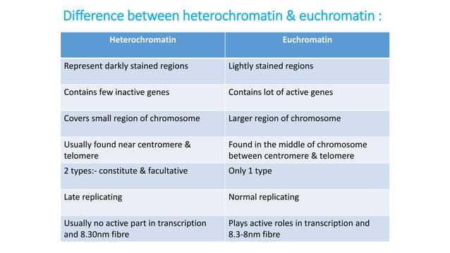 Chromatin Structure and Function | PPTX