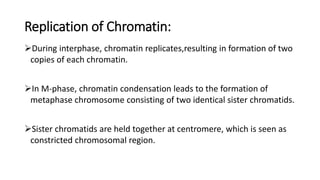 Chromatin Structure and Function | PPTX