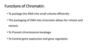 Chromatin Structure and Function | PPTX