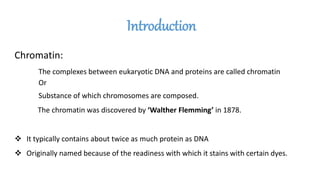 Chromatin Structure and Function | PPTX
