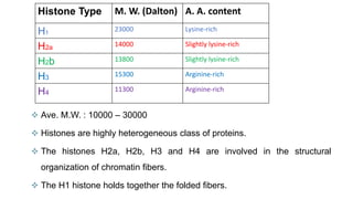 Chromatin Structure and Function | PPTX