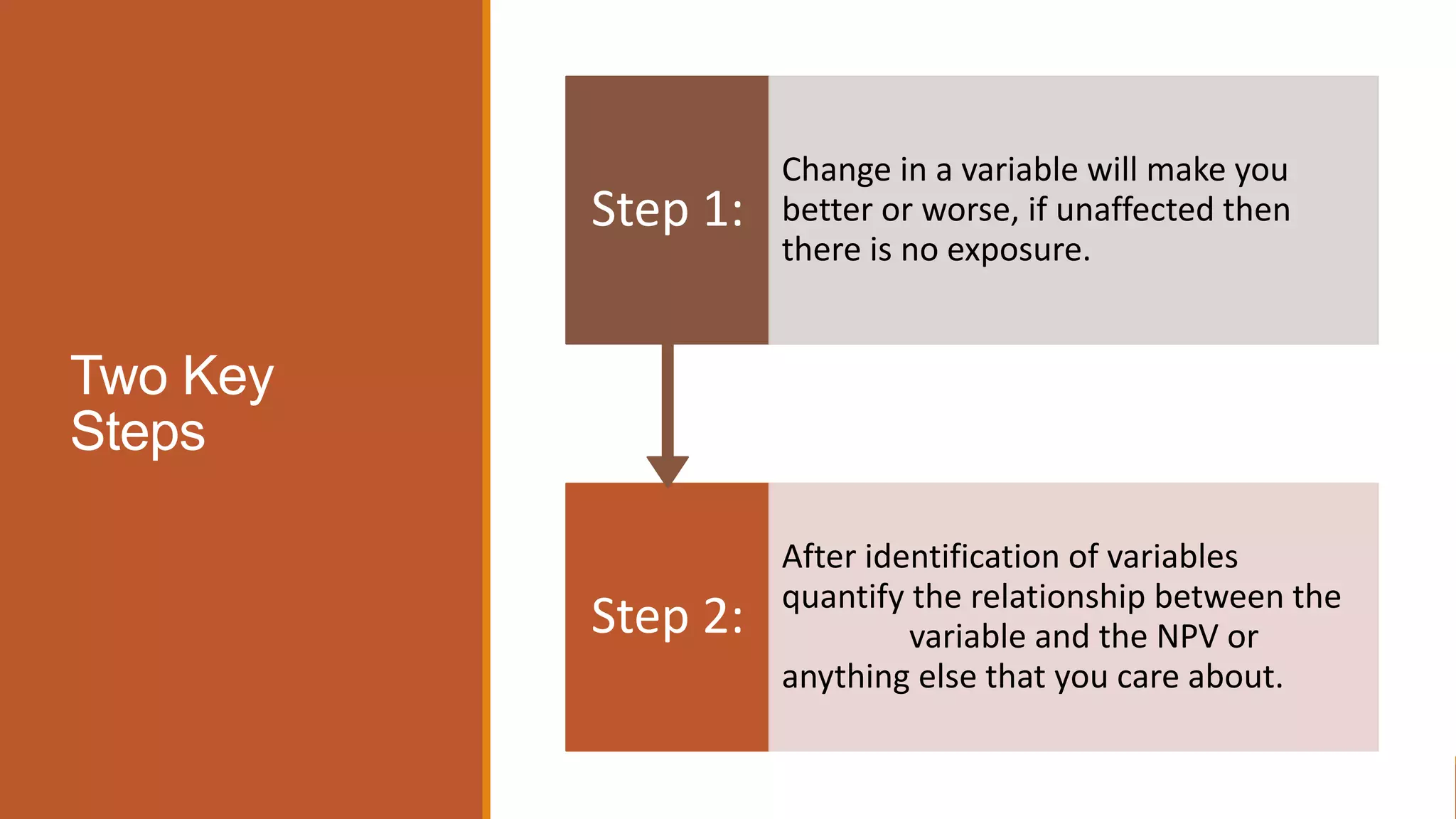 Risk Exposure and Hedging | PPTX