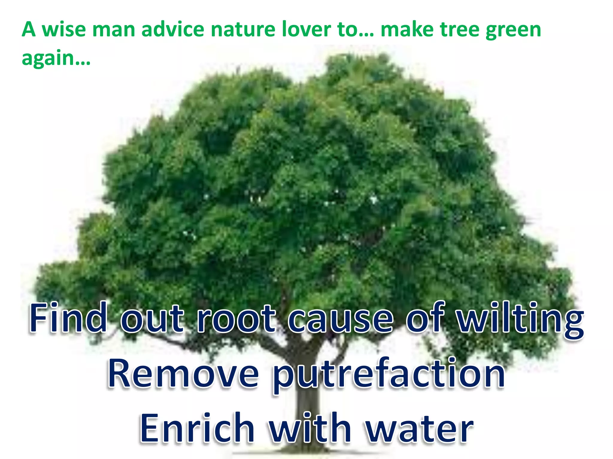 'corruption' its sources and solution | PPSX