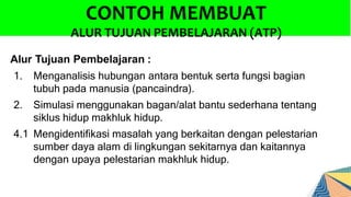 Presentasi cp, tp, atp dan modul ajar.pptx