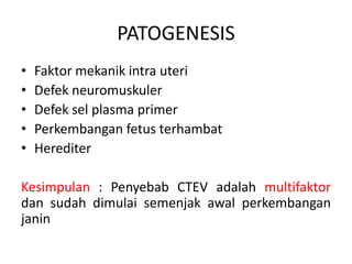 Congenital Talipes Equinovarus (CETV), Kaki Pengkor | PPTX