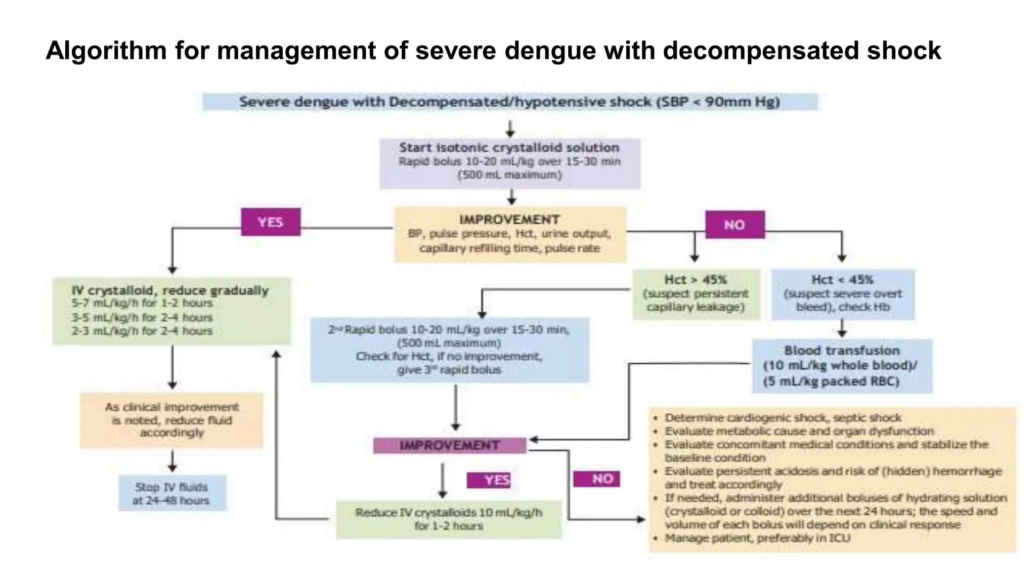PPT dengue management and guidelines in india | PPT