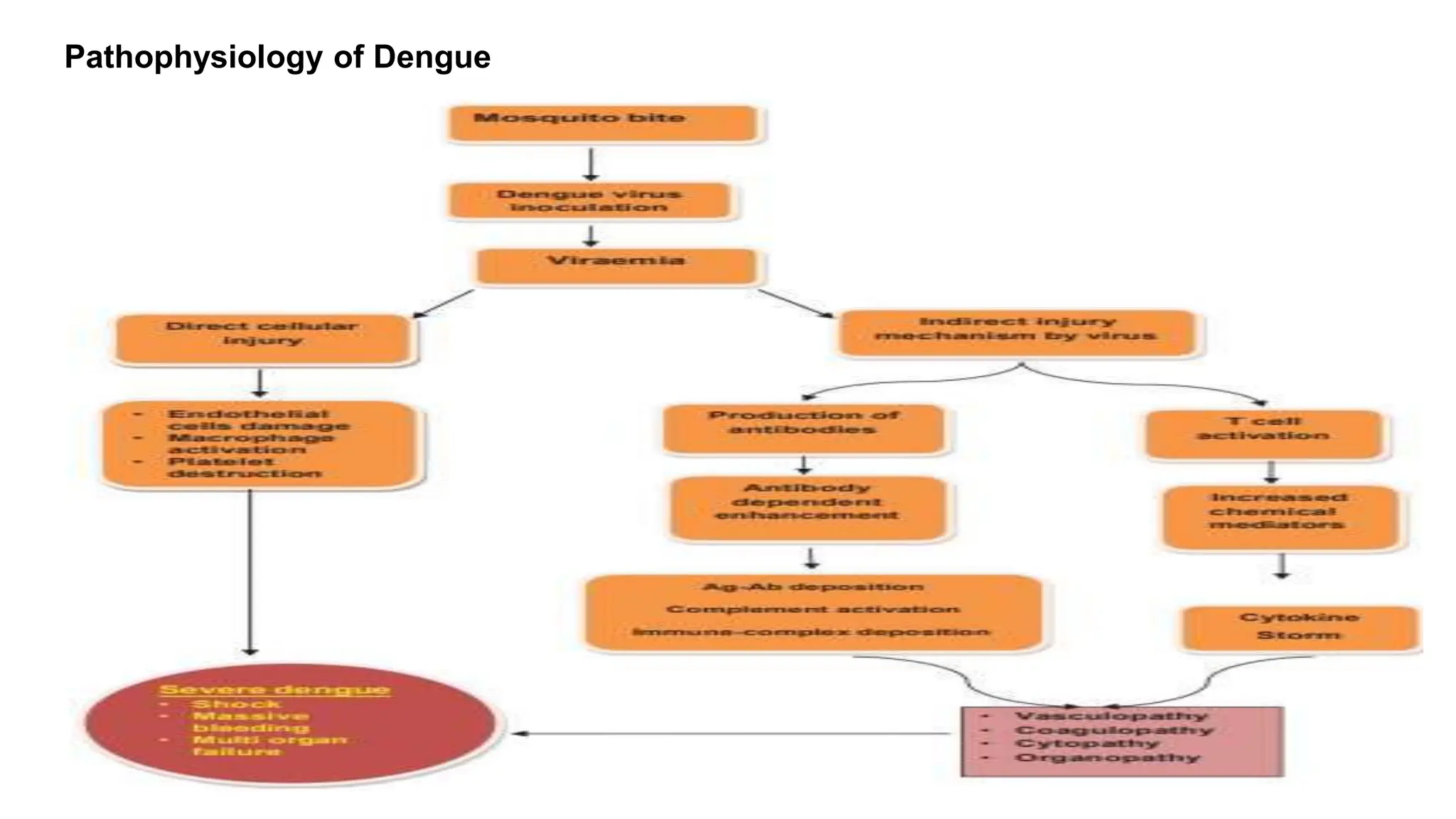 PPT dengue management and guidelines in india | PPT