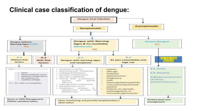 PPT dengue management and guidelines in india | PPT