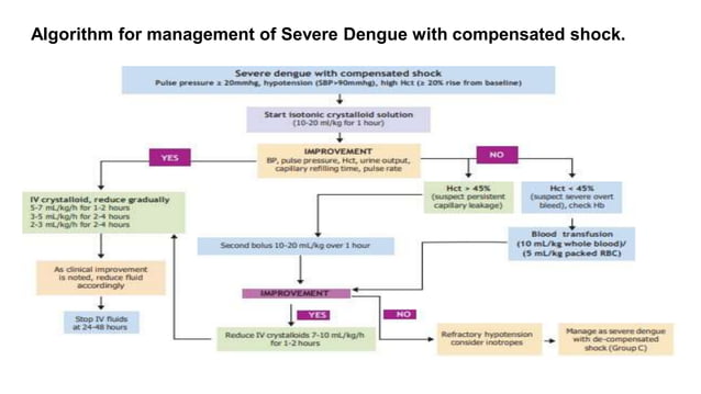 PPT dengue management and guidelines in india | PPT