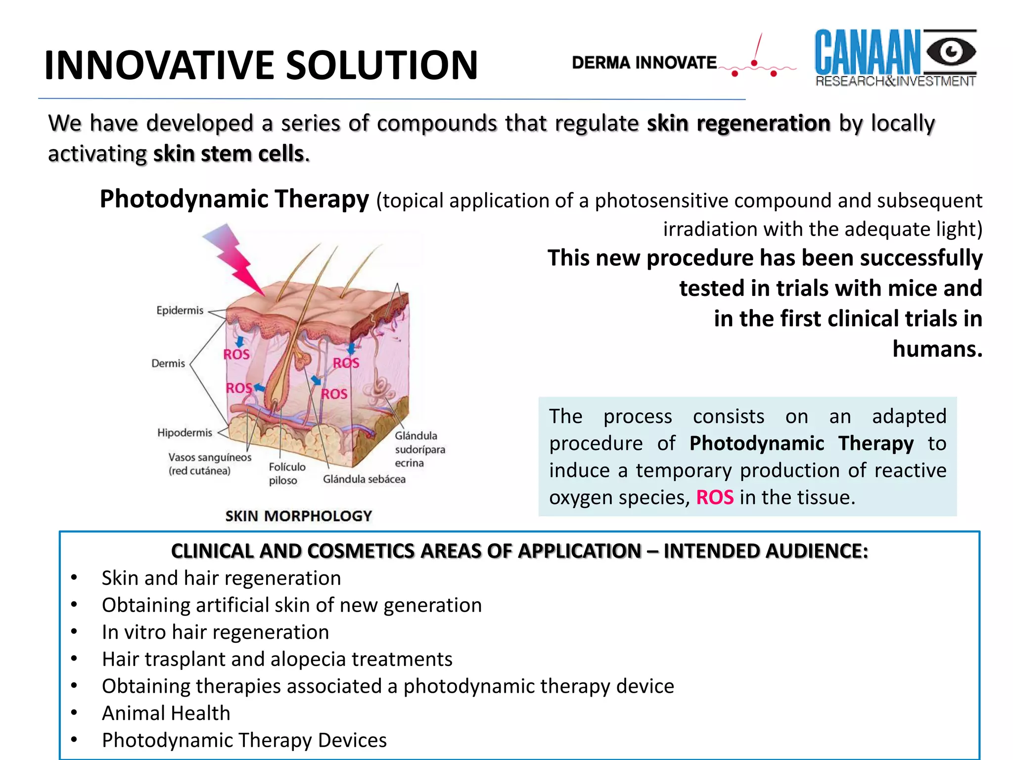 Ppt DERMA ENGLISH | PDF