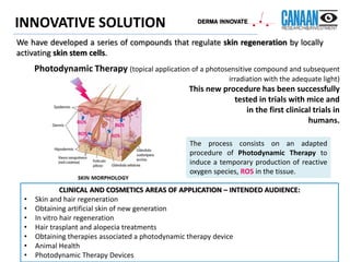 Ppt DERMA ENGLISH | PDF